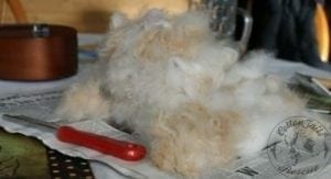 Grooming your rabbit or guinea pig : CottonTails Rabbit & Guinea Pig Rescue